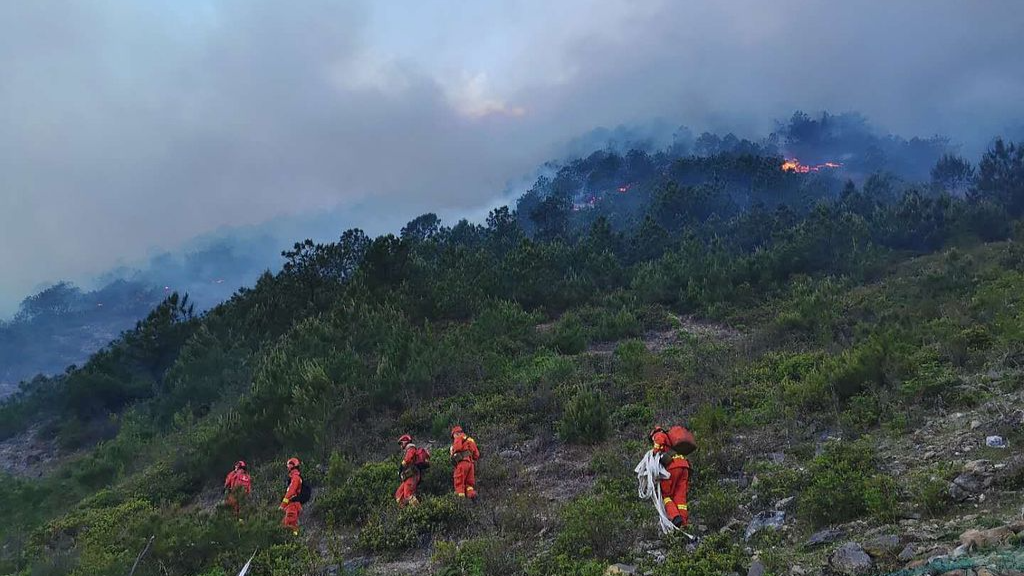 Shuhet zjarri në pyjet e Kinës jugperëndimore, nuk raportohet për viktima