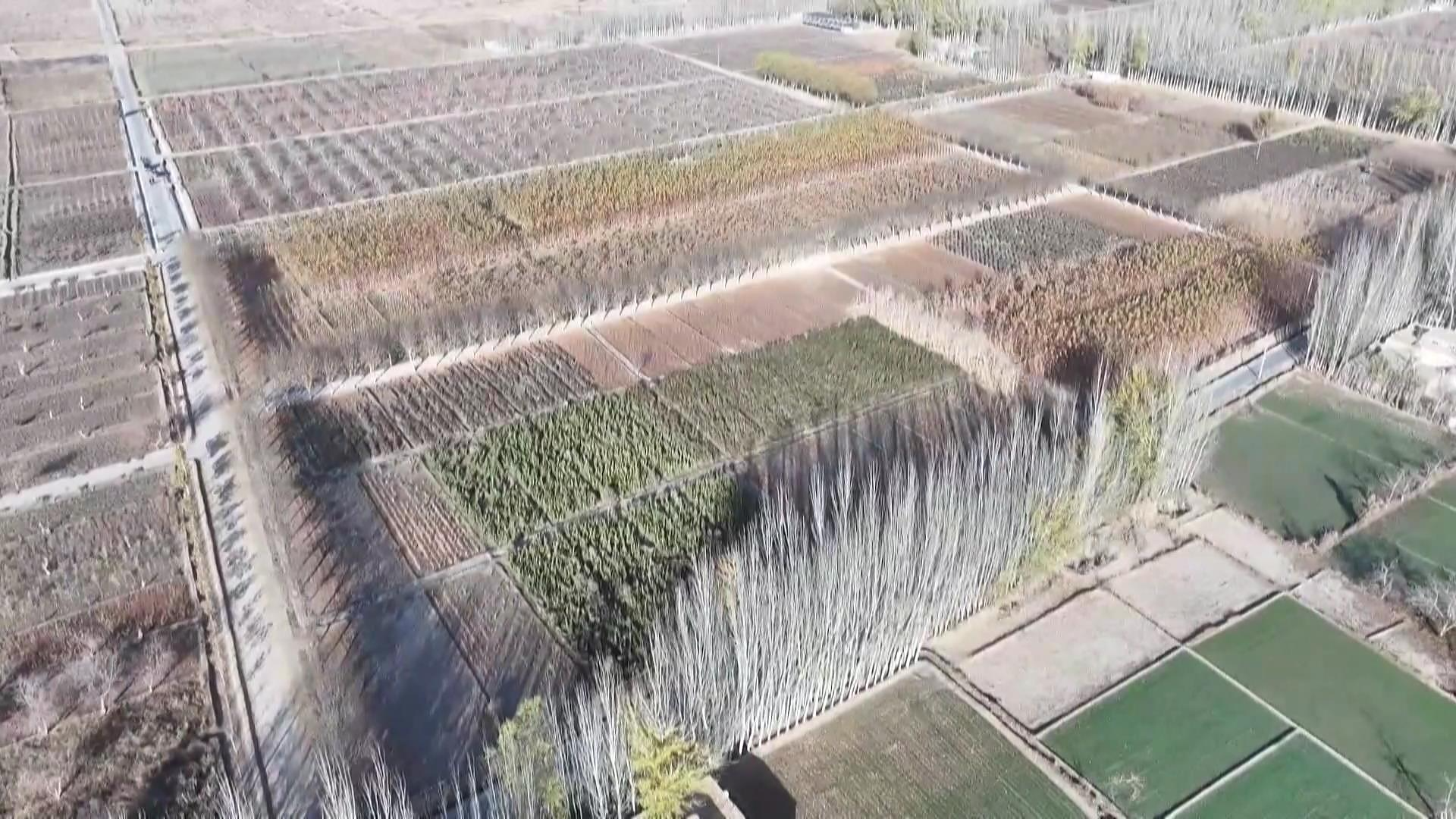 С технологии и иновации Китай изгражда „Велика зелена стена“