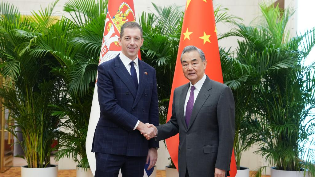 王外交部長 セルビアのジューリッチ外相と会談