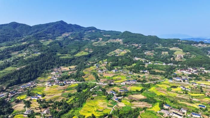Ladang Teres Serlah Landskap Pastoral