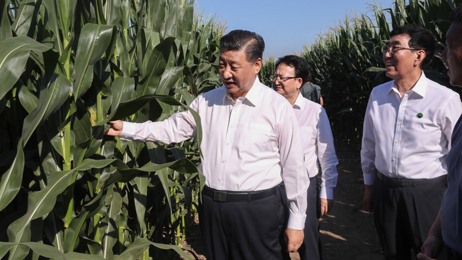 Agrikultura, kanayunan at mga magsasaka, pinahahalagahan ni Xi Jinping