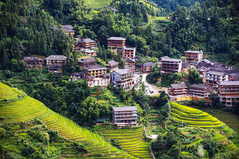 #CCFR Comment#បទវិភាគ ...