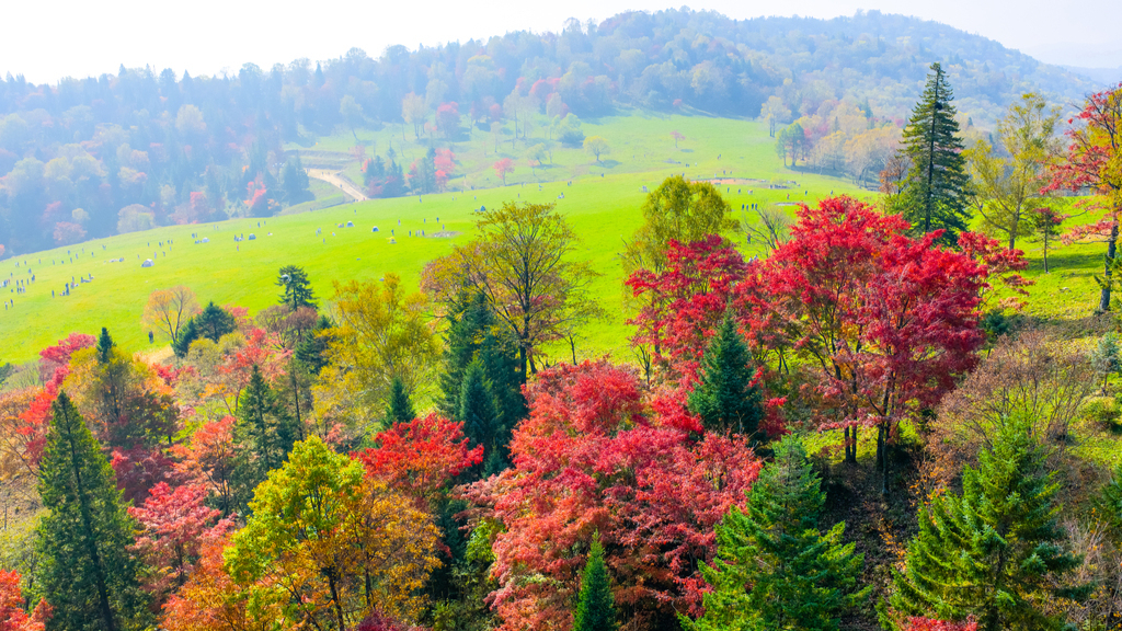 Monte Changbaishan: la foresta autunnale si tinge di mille colori