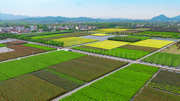 Sentral Rural Work Conference, idinaos sa Beijing