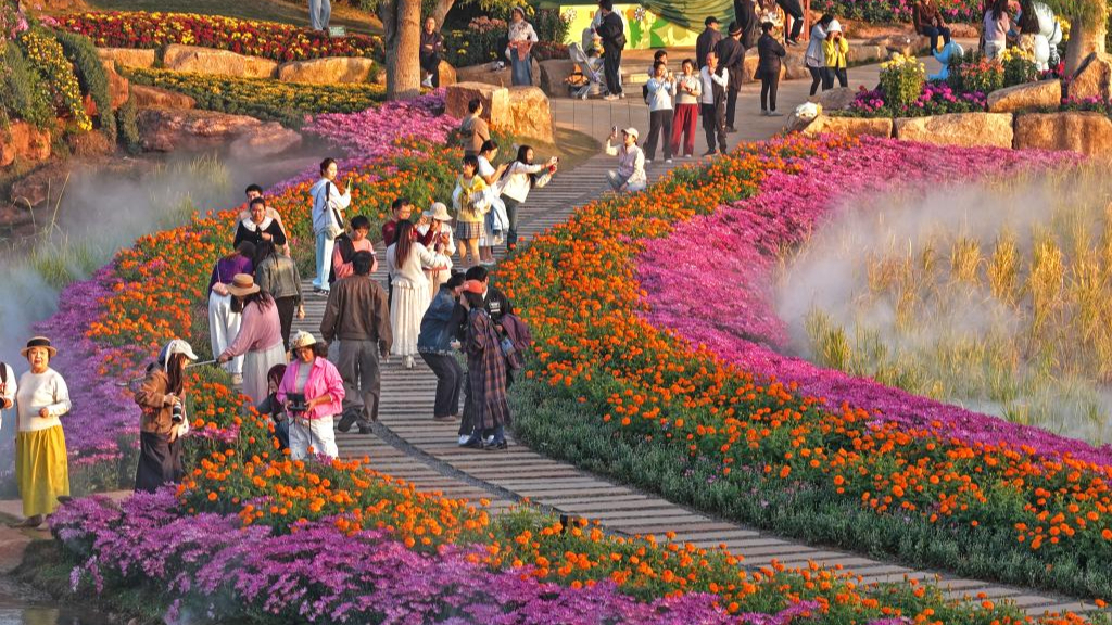 Sudah Musim Sejuk, Tetap Ada Bunga-bungaan Kembang Mekar