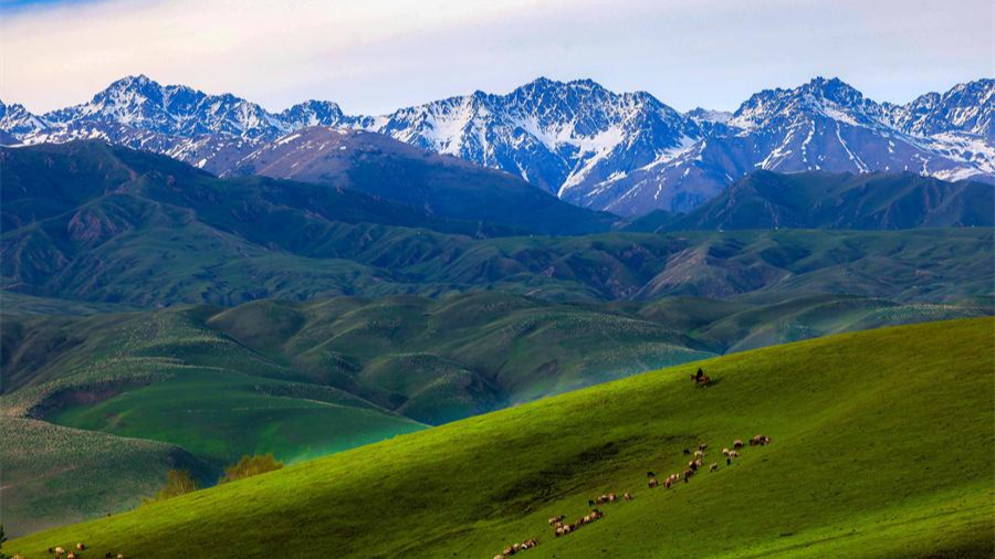 Vasaras sākumā Nalati Paņlunas ieleja ir pasakaini skaista